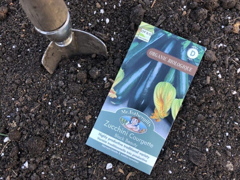 How to plant vegetable seeds 🌱 🥦 A step-by-step guide for beginners