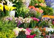 9 Best Flowers For Bouquets Crafting The Perfect Floral Arrangement