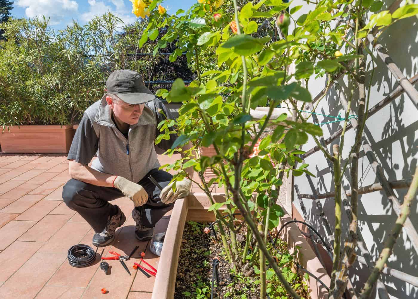 Drip irrigation for potted plants | Home for the Harvest