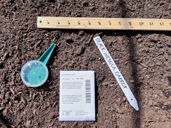 Best temperature to germinate seeds 🌡️ 🌱 Unlocking nature's secret for ...