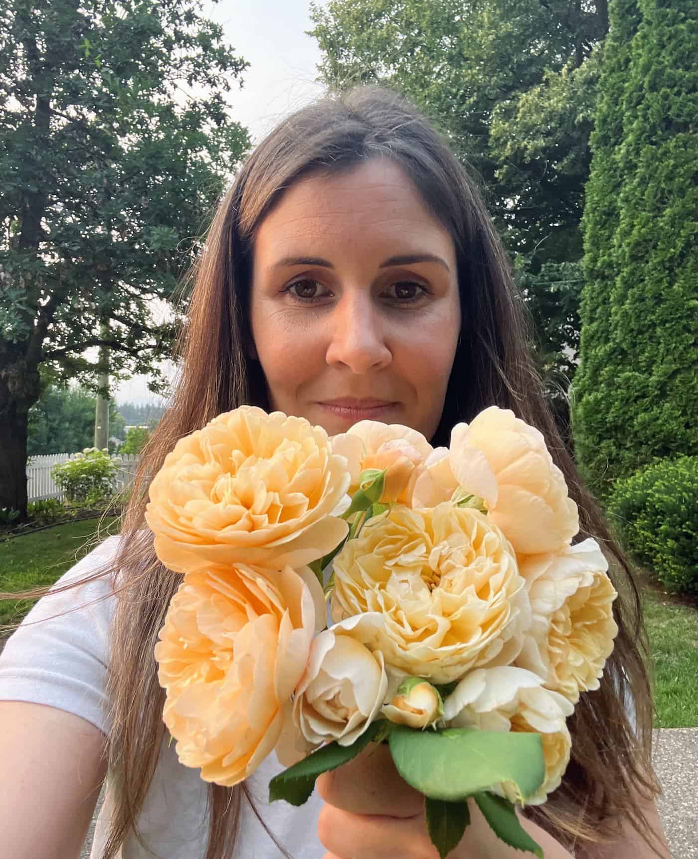 Roald Dahl rose 🌹 🧡 Unfurling petals of peachy dreams and charm