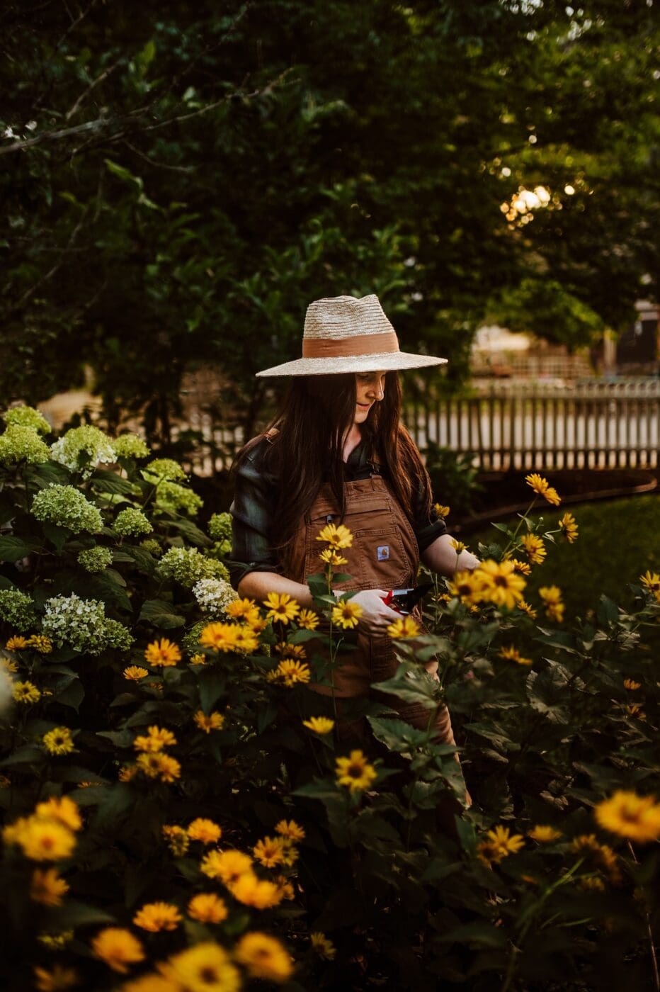 15 fall flowers 🌼 🌹 to add autumnal color to your garden