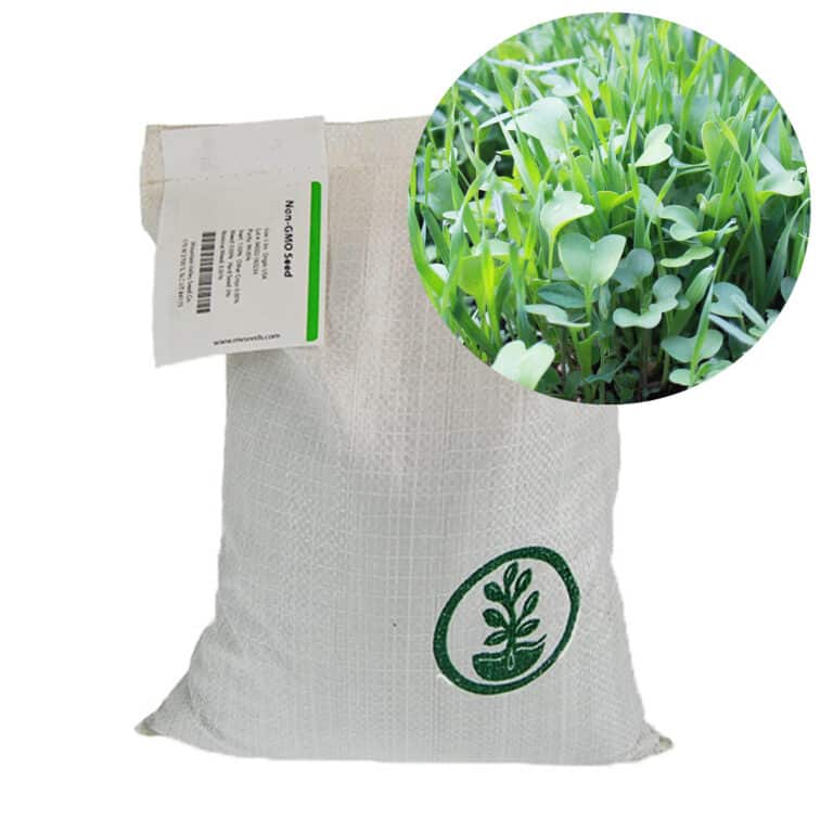 What to plant in September 🍁🌿 Cultivate a garden that thrives in autumn