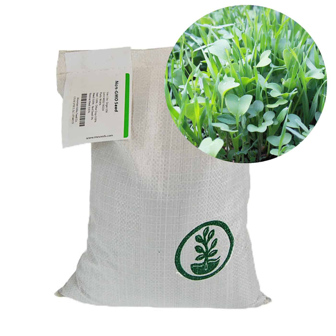 What to plant in September 🍁🌿 Cultivate a garden that thrives in autumn