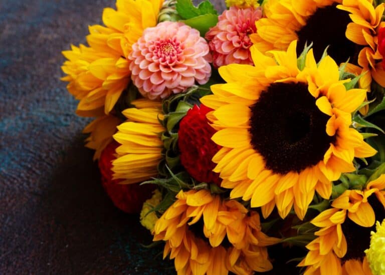 15 fall flowers 🌼 🌹 to add autumnal color to your garden