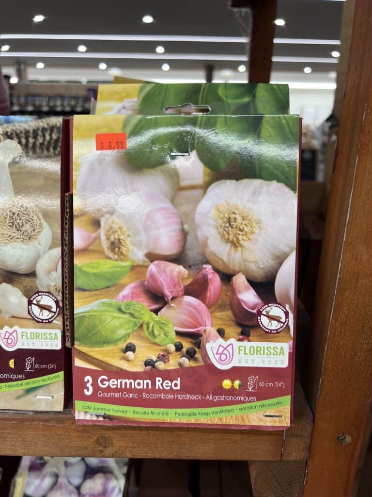 German Red garlic's mesmerizing magic 🌿🍴 From robust roots to ravishing ...
