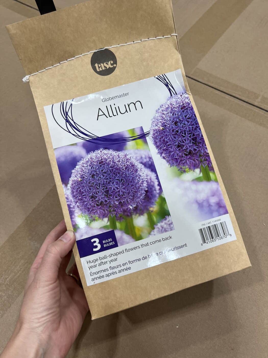 How to grow alliums 🌱💜 Master the art of nurturing these ornamental ...