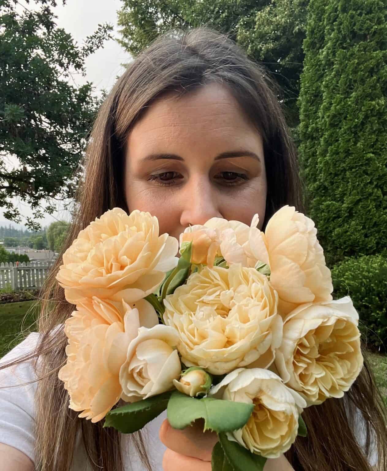 How to grow roses 🍃🌹 Cultivate elegance and fragrance in your garden!