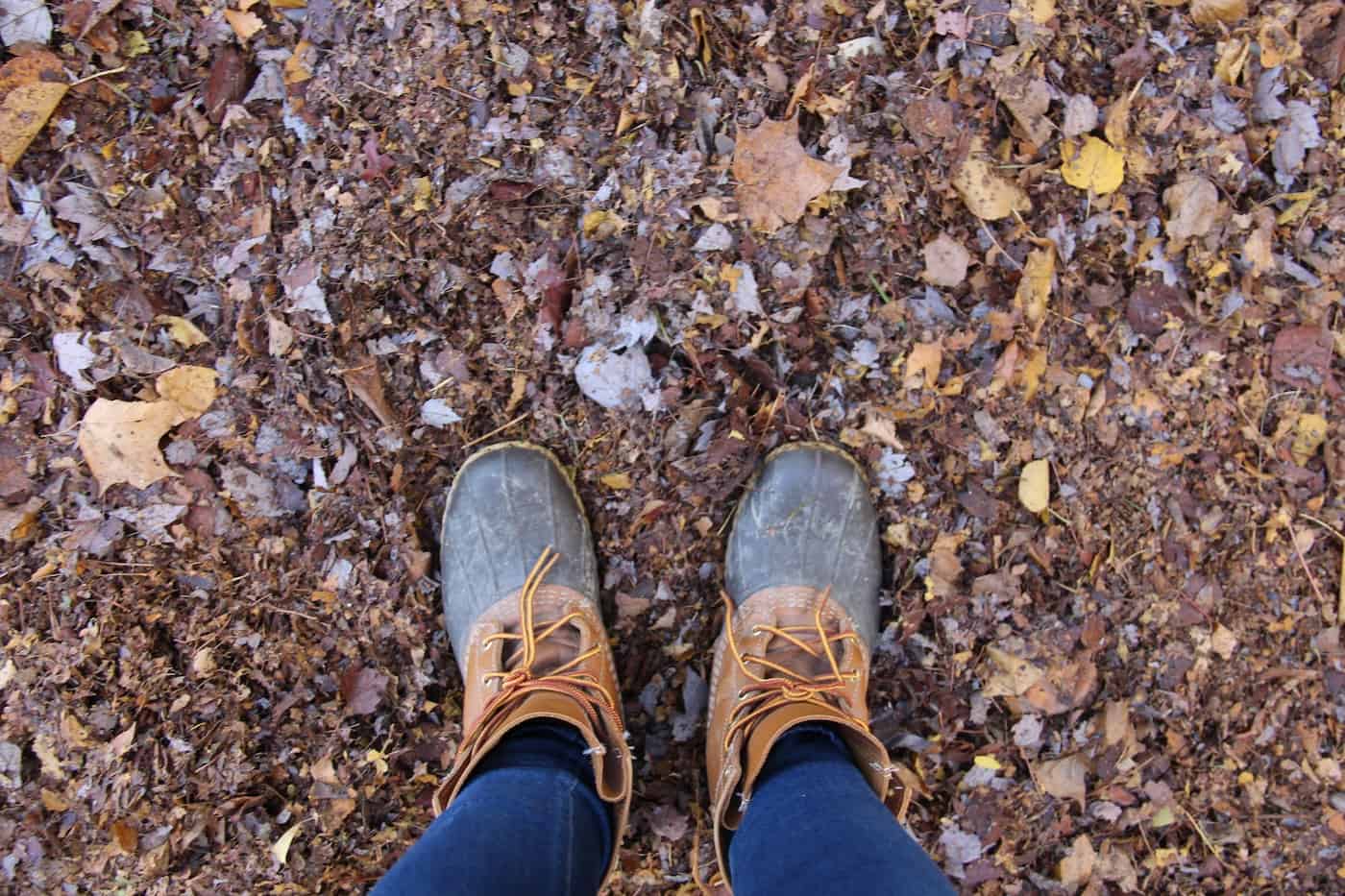 Organic mulch | Home for the Harvest