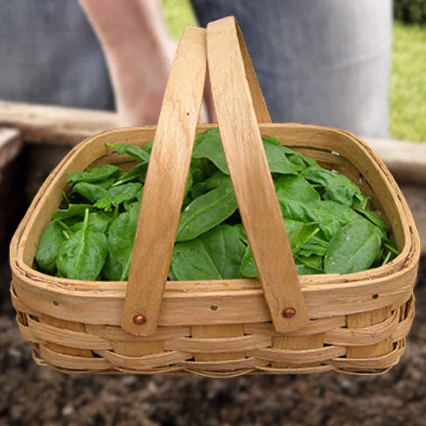 Woven Oak Harvesting Basket | Home for the Harvest
