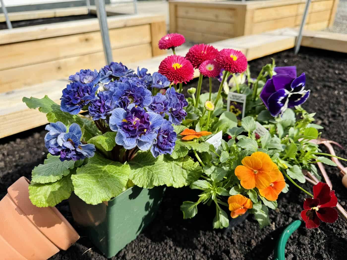 Gardening quotes | Home for the Harvest