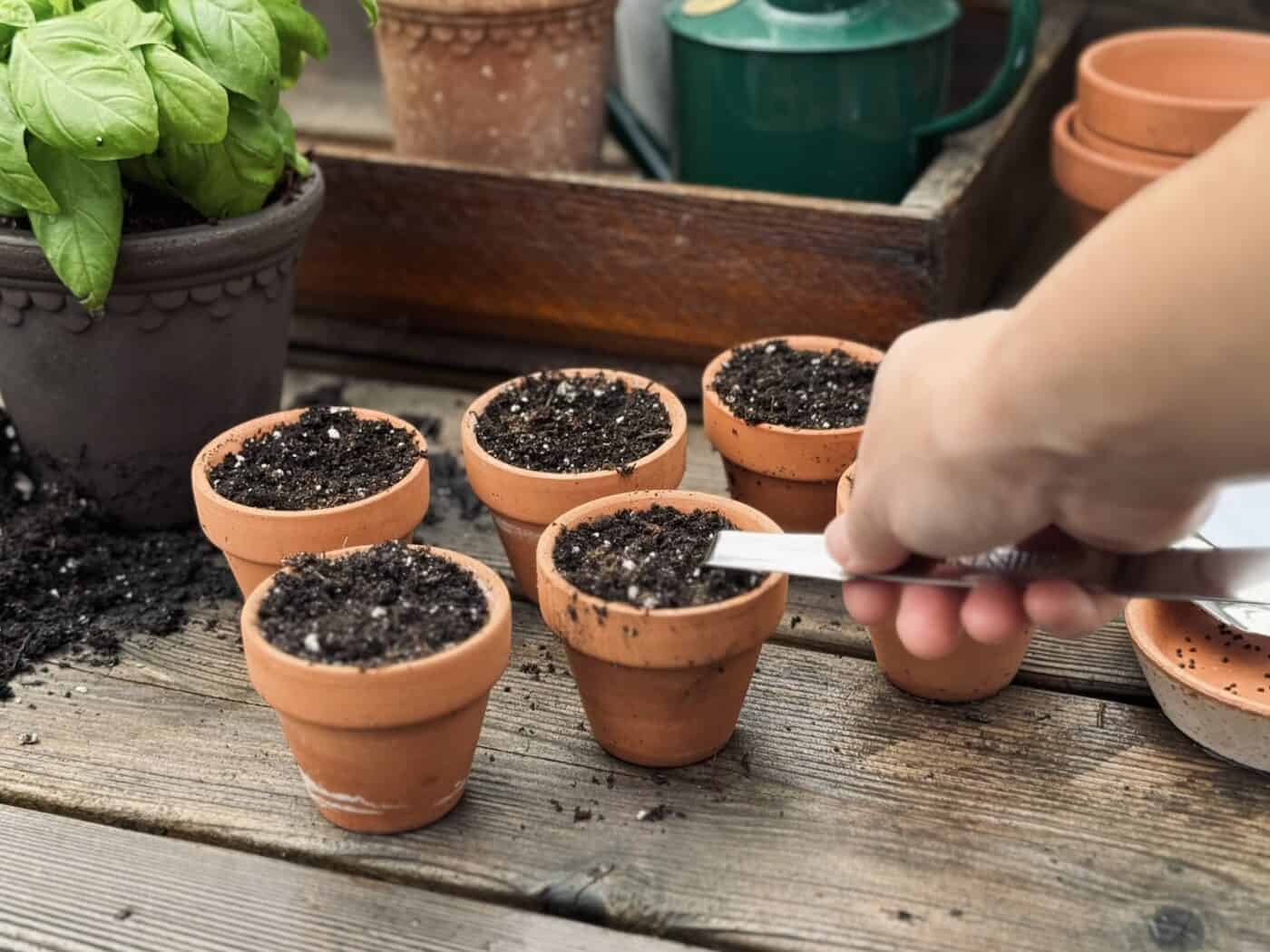 Best soil for microgreens cultivation 🌱 🌟 Uncover the secret to growing ...